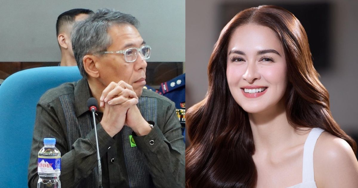 Chel Diokno, Marian Rivera names flagged in OVP fund receipts - The ...